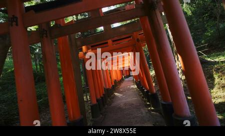 Beauty of Kyoto iconic Red Pillars Shrine where traditional ...