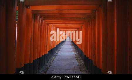 Beauty of Kyoto iconic Red Pillars Shrine where traditional ...