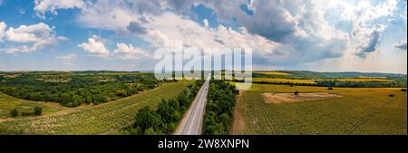 Aerial view, meadows and rapeseed fields, avenue of trees along a road ...