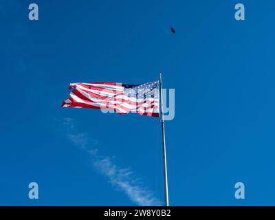 American flag, eagle, Big Cypress National Preserve, Everglades, North ...