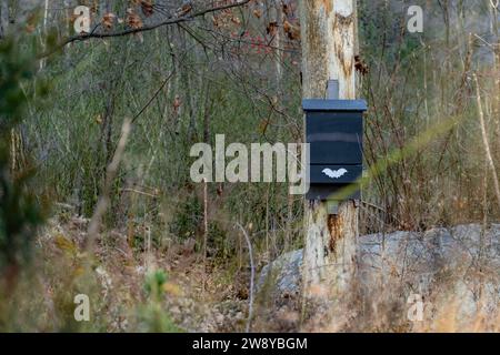 A black wooden bat box hangs from a tree in the forest to provide ...