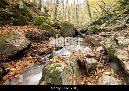 Oni, Georgia. 27th Oct, 2023. The synagogue in front of the Great ...