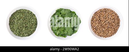 Ground coriander, its dried seeds and fresh leaves Stock Photo - Alamy