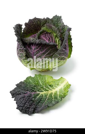 Savoy cabbage. Close-up of a leaf of Savoy cabbage, a cultivar of the ...