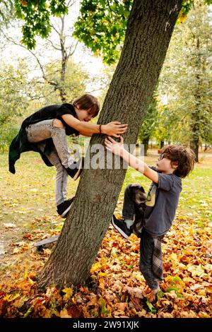 Family climbing tree trunk Stock Photo - Alamy