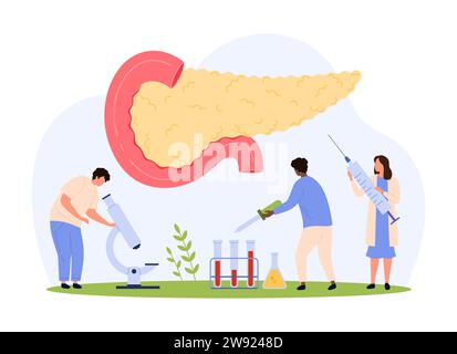 Pancreas health, chronic diseases vector illustration. Cartoon tiny ...