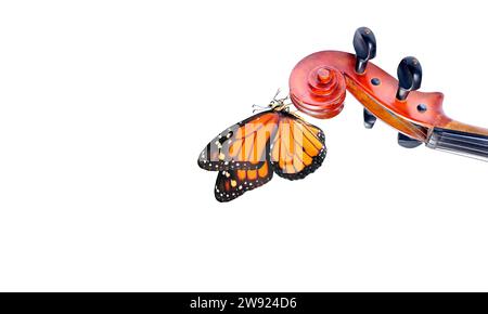 Yellow Butterfly On Black Violin Still Life Stock Photo - Alamy