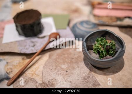 Papa Voladora, potato dish, Restaurante El Central, Lima, Peru Stock ...