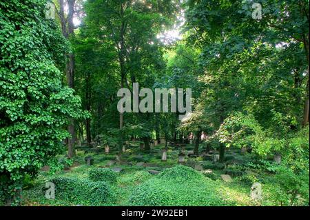 Eliasfriedhof is the oldest preserved cemetery in Dresden and is ...
