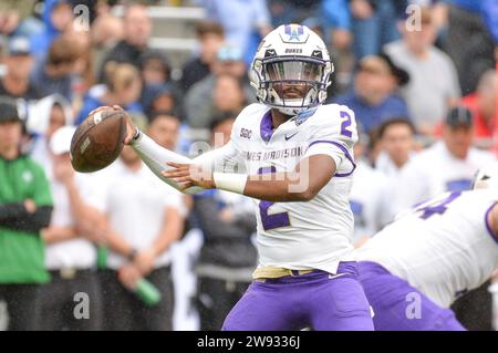 James Madison quarterback Jordan McCloud (2) looks to pass during the ...