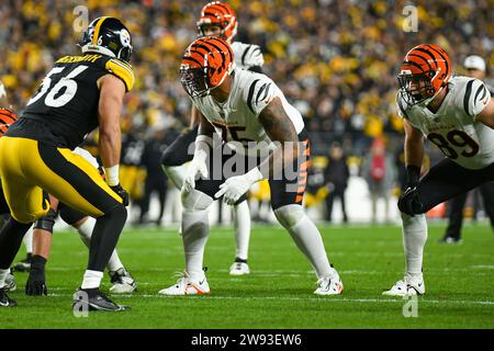 Cincinnati Bengals offensive tackle Orlando Brown Jr. (75) warms up ...