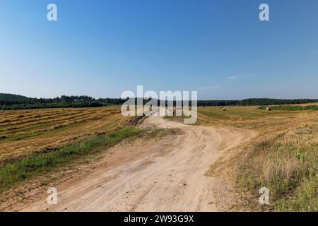 Rural road for cars and transport, ruts and traces of cars on a sandy ...