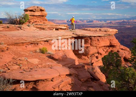 Canyon rim along White Rim Overlook Trail, Canyonlands National Park ...