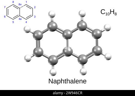 Ball and stick model of a benzene molecule. Atoms are represented as ...