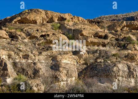 Las Cuevas Amarillas small caves cut in volcanic tuff rock, Native ...