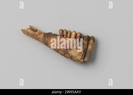 Sheep or goat bone from the wreck of the East Indians Hollandia, 1700 ...