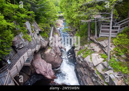 A waterfall and walkway within the high falls conservation area in ...