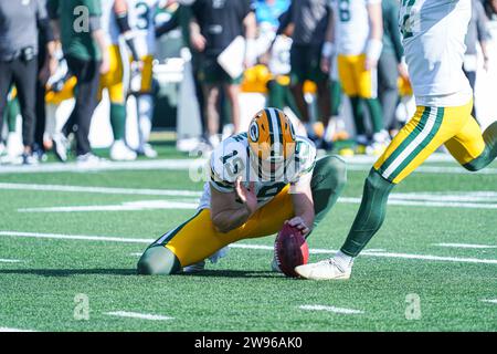 Green Bay Packers punter Daniel Whelan (19) during an NFL football game ...