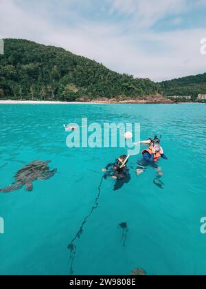 Group of tourists are snorkeling together with the turtles in Pulau ...