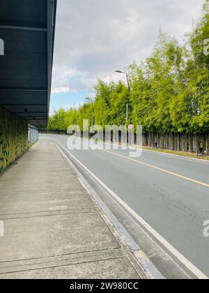 An empty pathway lined with plants in the park areas Stock Photo - Alamy