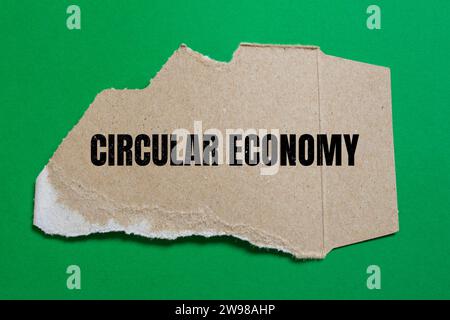 circular economy symbol on paper cutout with perfect green grass ...