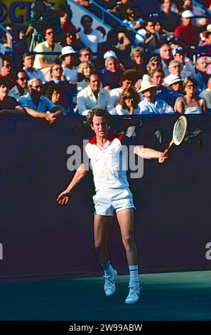 John McEnroe (USA) competing at the 1981 US Open Tennis Stock Photo - Alamy
