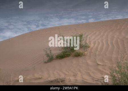 Tengri Desert in the Inner Mongolia Autonomous Region in China Stock ...