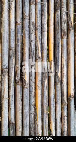 bamboo cane wood texture background Stock Photo - Alamy