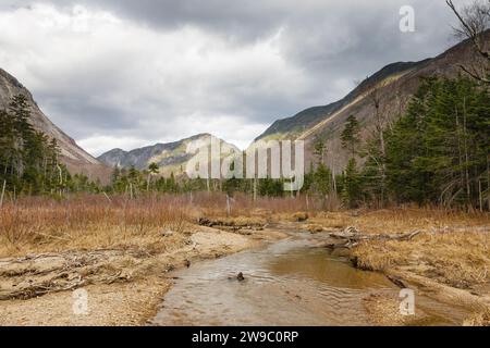 Eagle Cliff from along the Pemi Trail in Franconia Notch State Park of ...