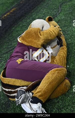 DETROIT, MI - DECEMBER 26: Minnesota Golden Gophers quarterback Cole ...