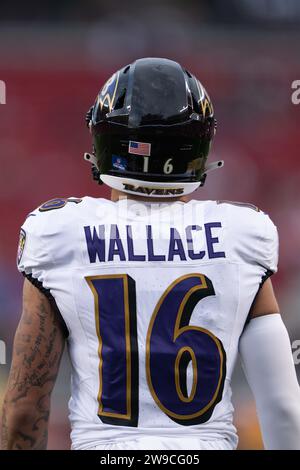 Baltimore Ravens wide receiver Tylan Wallace (16) in action during the ...