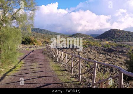 old lava field and old volcanoes trees covered in Etna Park, Sicily ...