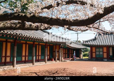 Jeju island, Korea - March 29, 2022 : Samseonghyeol traditional ...