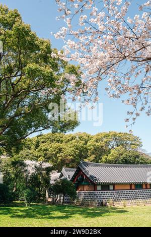 Jeju island, Korea - March 29, 2022 : Samseonghyeol traditional ...