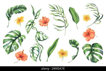 Red and yellow tropical botanical flowers. Wild spring leaf isolated ...