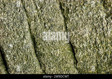 Struktur , Deutschland, BLF *** Structure , Germany, BLF BL82964 Stock ...