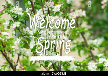 Hello, spring, the sunlight breaking through the crowns of the trees ...