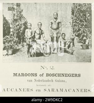 Group portrait of four Maroons, at the Colonial Exhibition, Amsterdam ...