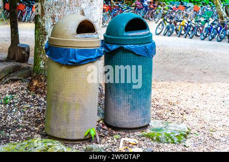 Garbage cans in the park of Cabo Ruins in Coba Municipality Tulum ...
