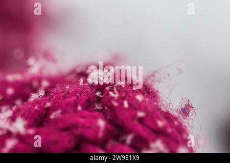 the pictures mainly show nature Stock Photo - Alamy