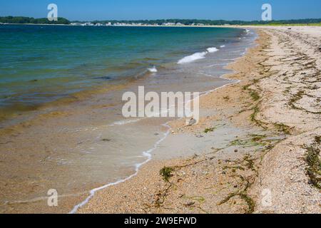Brushy Point Beach, Bluff Point State Park, Connecticut Stock Photo - Alamy