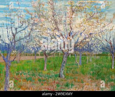 The Pink Orchard (1888) by Vincent van Gogh (1853-1890 Stock Photo - Alamy