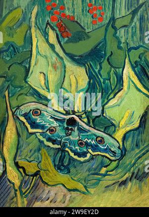 Vincent Van Gogh - Giant Peacock Moth Stock Photo - Alamy