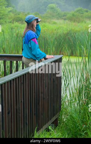 Observation deck on the pond, Major Michael Donnelly Land Preserve ...