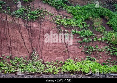 Steep eroded slope on the side of Partridge Island near Parrsboro, Nova ...