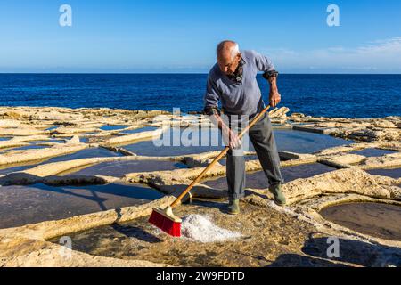 Darmanin salt pans in Malta. Harvesting sea salt is a centuries-old ...