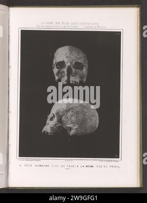 Two views of a human skull, and profil and top view, c. 1860 - in or ...