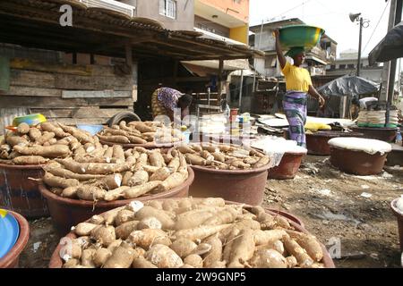 Abidjan, Cote d'Ivoire. 27th Dec, 2023. Women dry cassava root semolina ...
