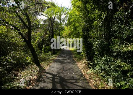Walking the hiking road following the Nakasendo trail between Tsumago ...
