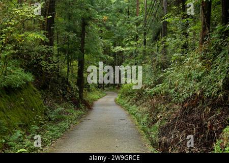 Walking the hiking road following the Nakasendo trail between Tsumago ...